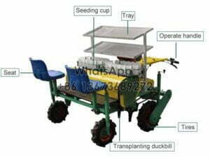 Vegetable Transplanter | Transplanting Seedlings Of Onion, Tomato ...